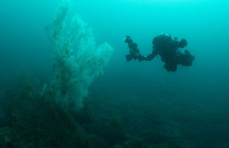 Great Pacific Garbage Patch Becomes Shocking Continent